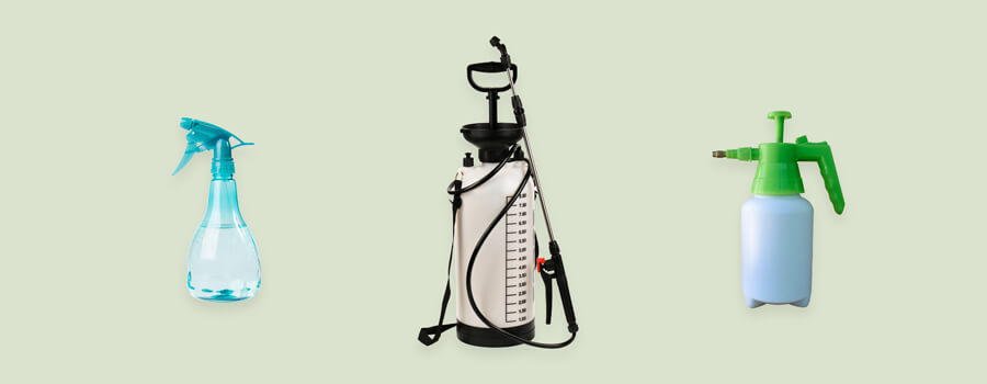 How and When to Use Foliar Feeding on Cannabis - RQS Blog