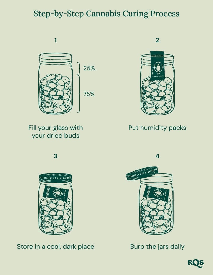 Find Out the Best Drying & Curing Methods for Weed - RQS Blog