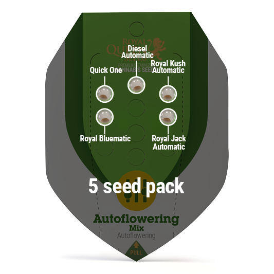 Autoflowering Mix Hanfsamen - Royal Queen Seeds